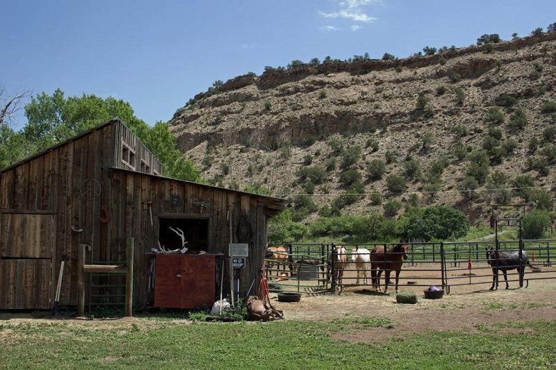 Voyage dans un ranch américain du Colorado - Travel with me in US