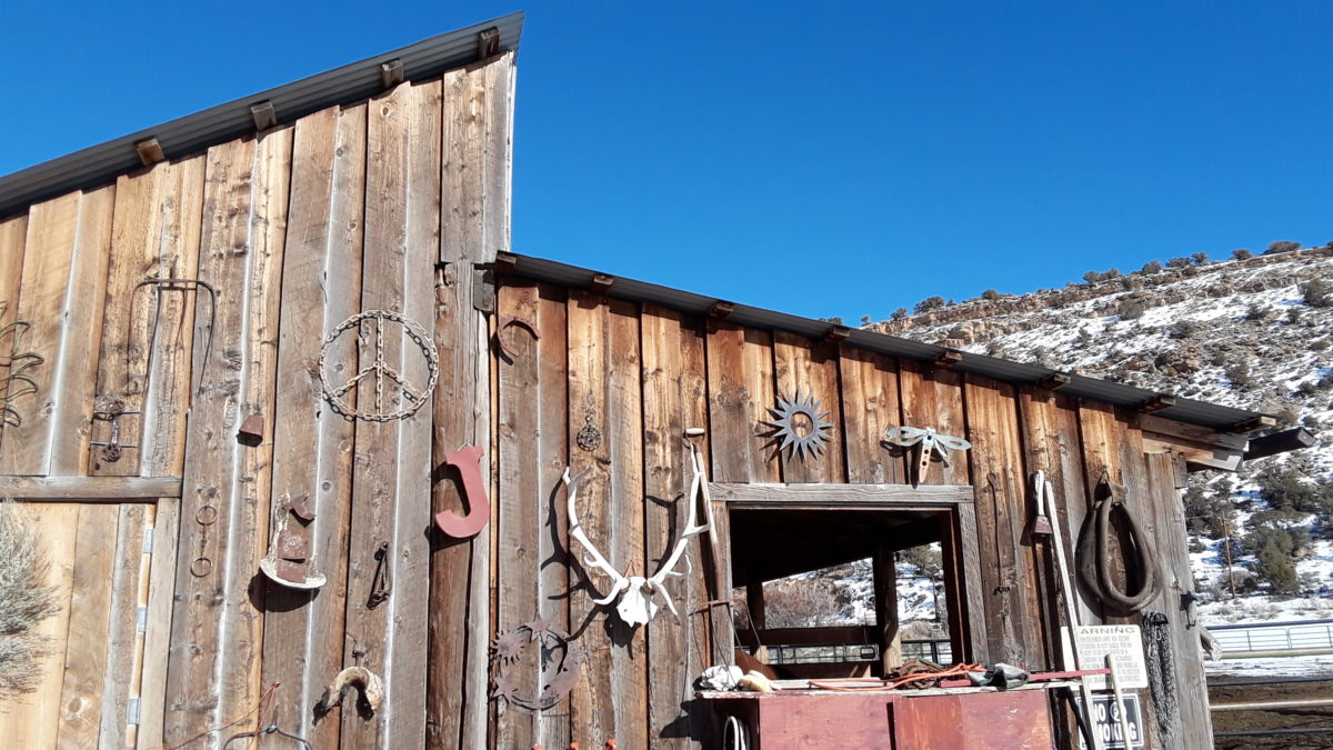 Voyage dans un ranch américain du Colorado - Travel with me in US